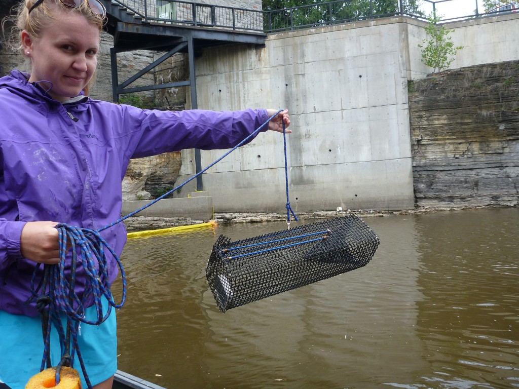 trapping – Your Connection to Wildlife