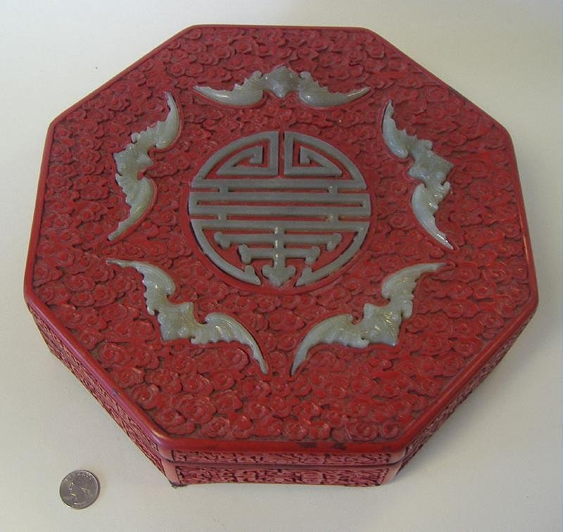 A brief history of bats – Your Connection to Wildlife