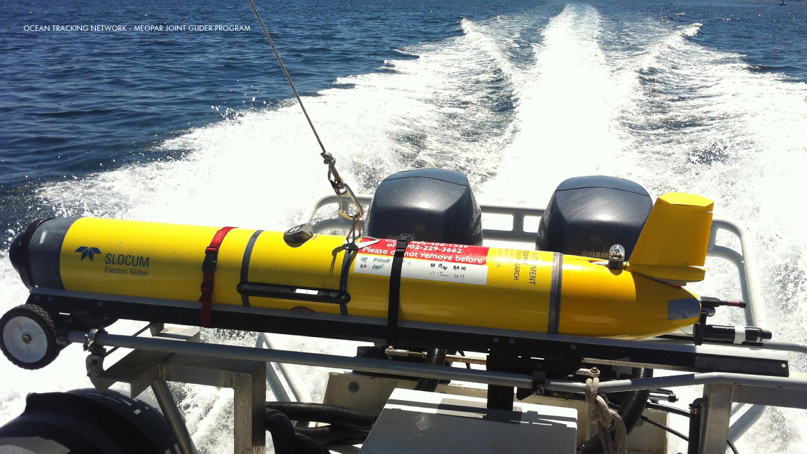 That’s a wrap: the end of an extraordinary field season for the WHaLE ...