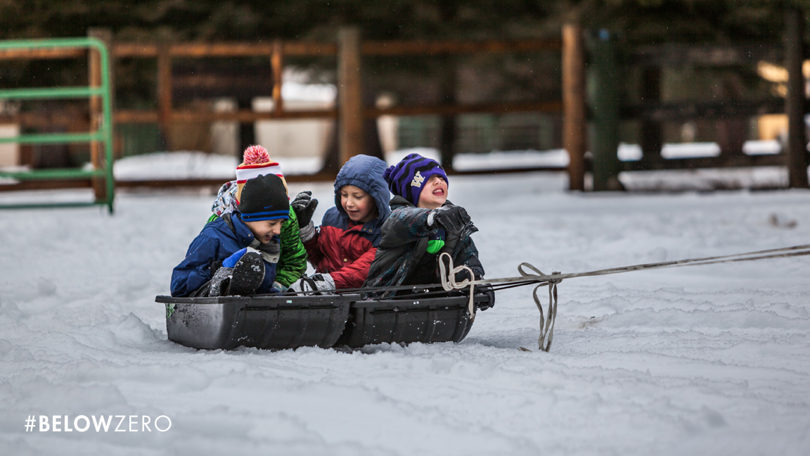 The 8 Best Canadian Winter Activities Ever – Your Connection to Wildlife