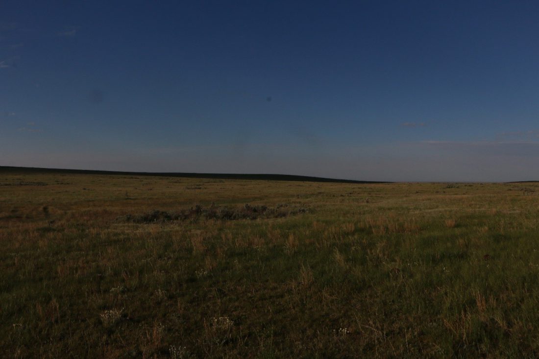 What is a prairie? – Your Connection to Wildlife
