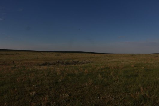 What is a prairie? – Your Connection to Wildlife