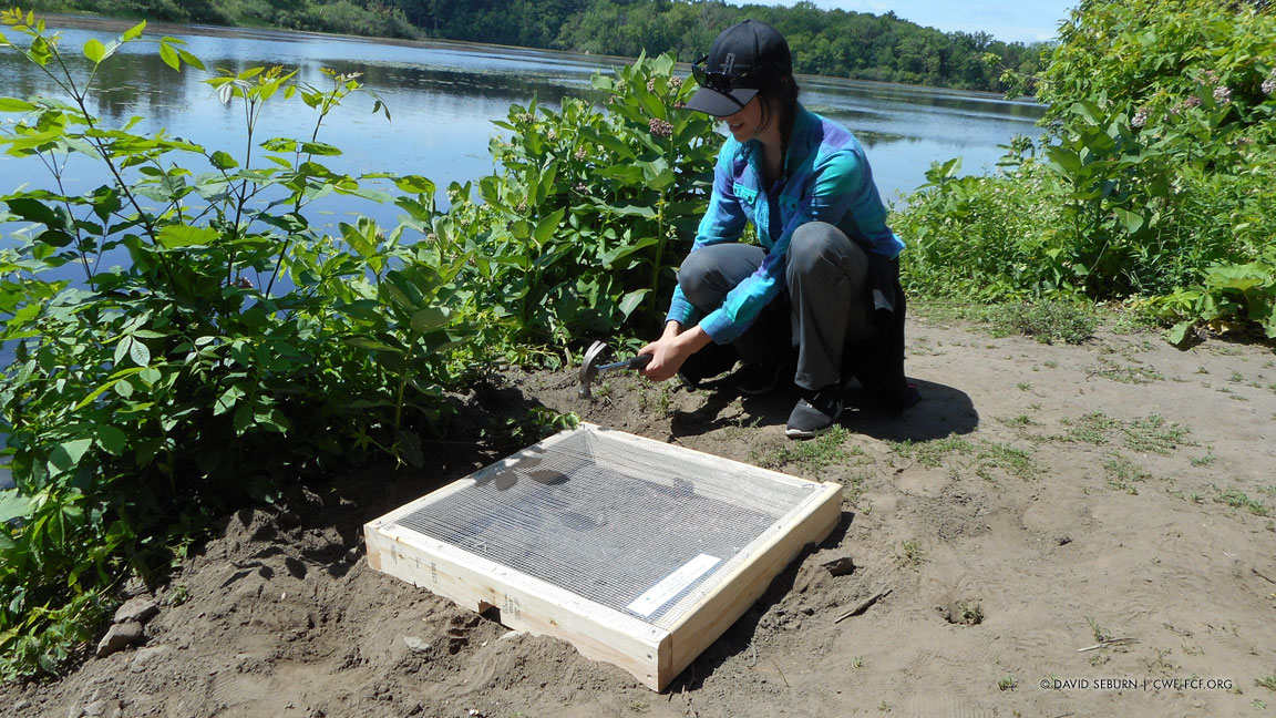 Build it and they will hatch – Your Connection to Wildlife