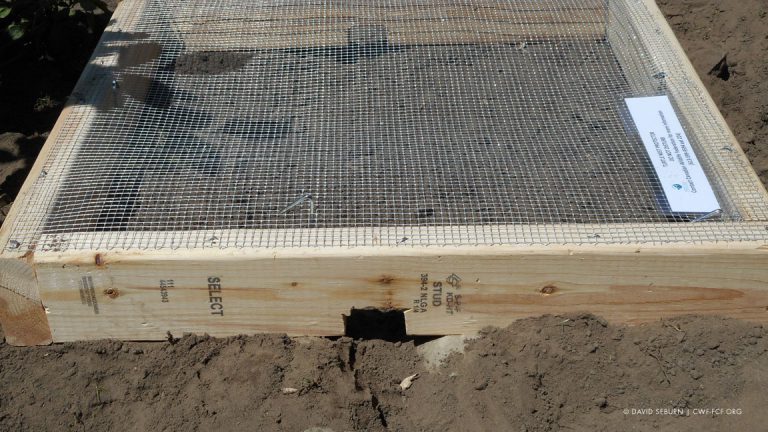 Build it and they will hatch – Your Connection to Wildlife