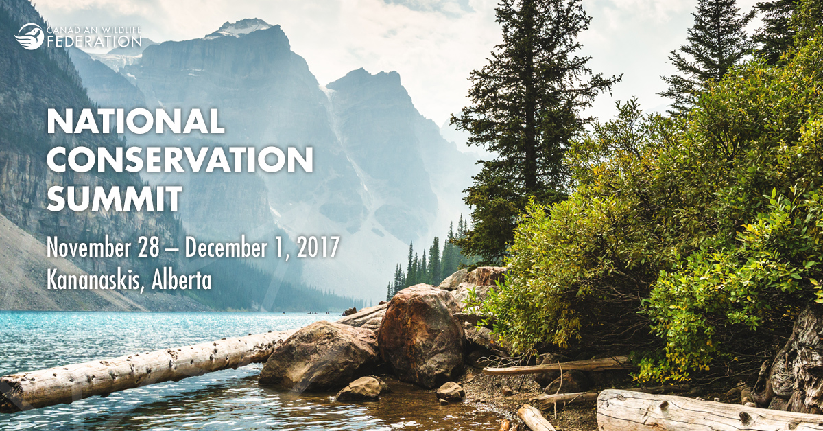 Rick Bates Answers Five Questions About the Conservation Summit – Your ...