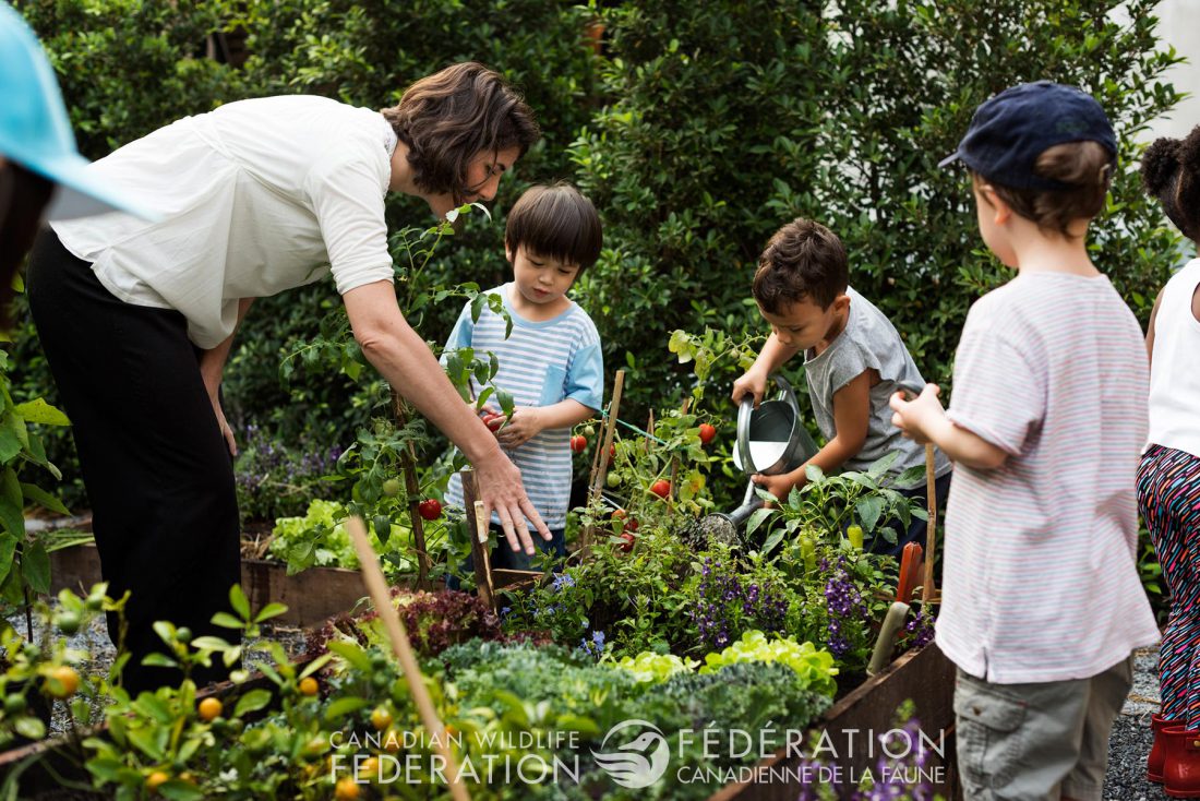 teacher-outside-with-kids-gardening – Your Connection to Wildlife