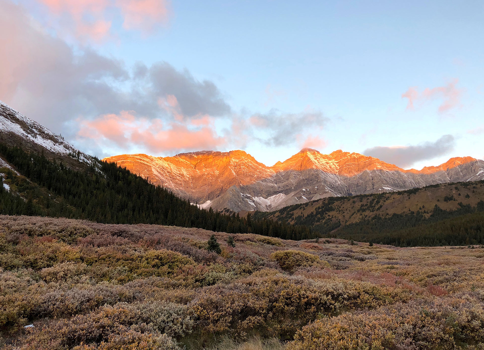 Elbow-Sheep-Wildland-mountains-sunrise-michael-chen – Your Connection ...