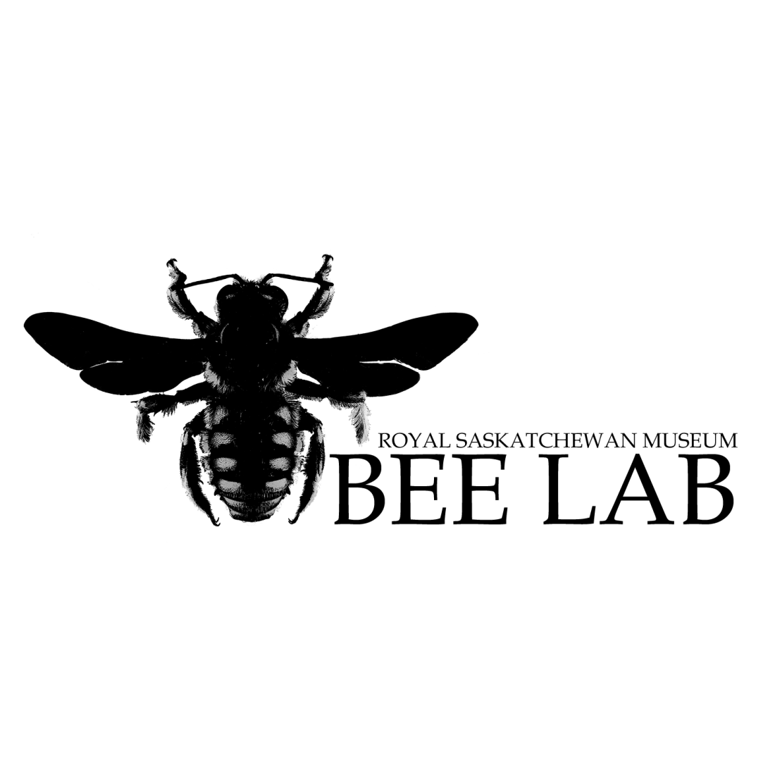 A Passion for Canadian Bees – Your Connection to Wildlife