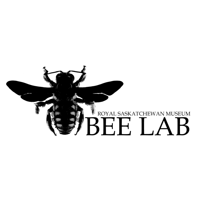 A Passion for Canadian Bees – Your Connection to Wildlife