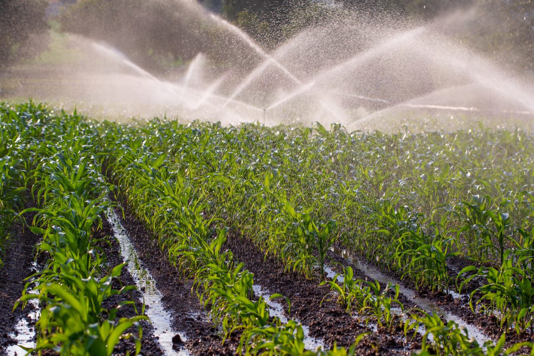 irrigation-maize-GettyImages-1125727188 – Your Connection to Wildlife
