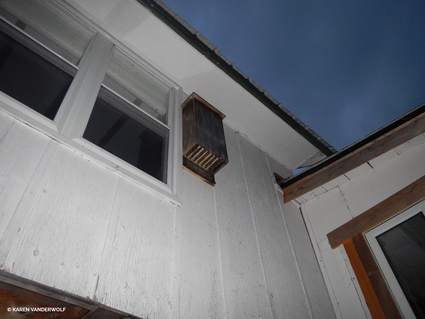karen-vanderwolf-bat-house – Your Connection to Wildlife