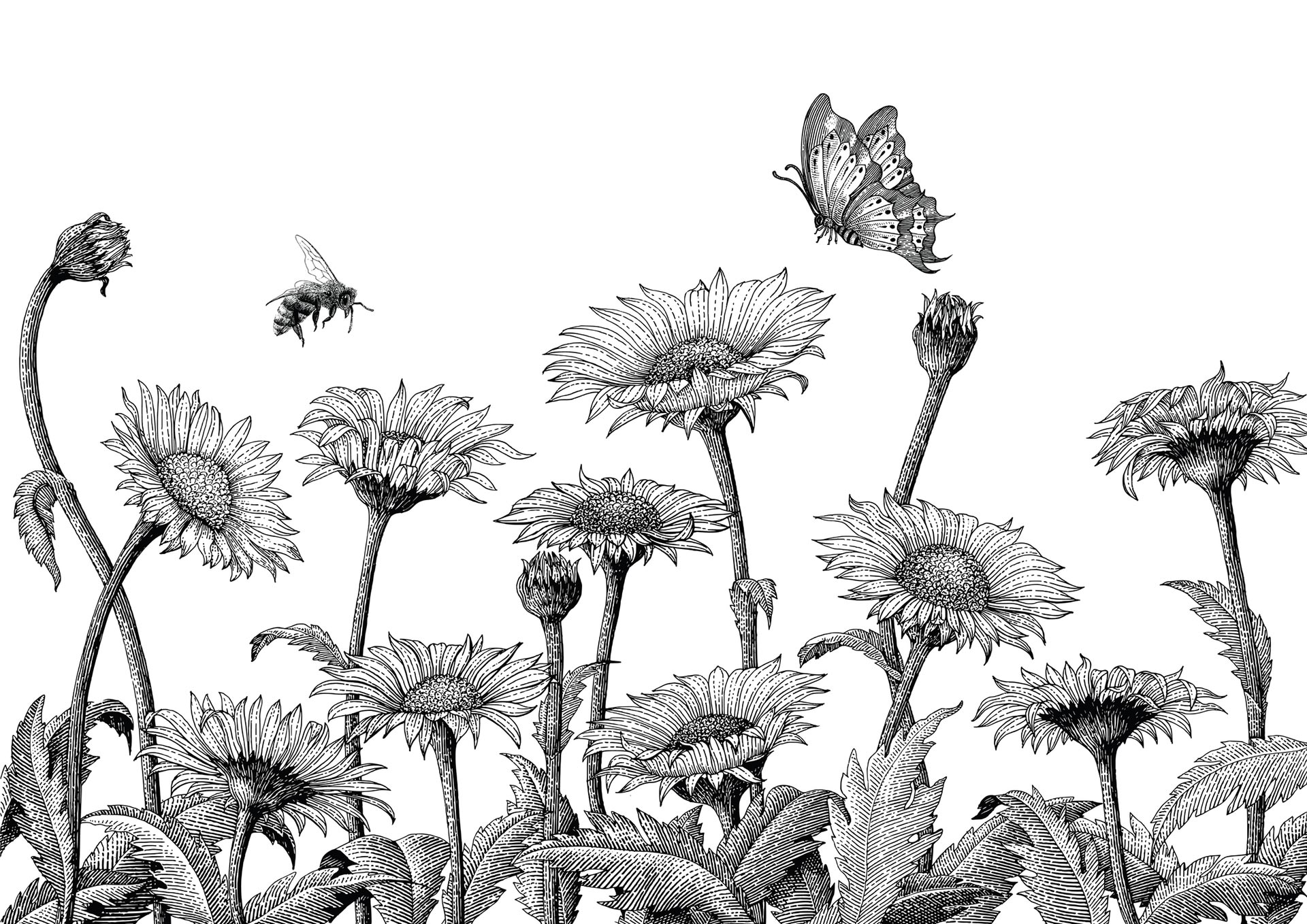 Simple Pencil Drawing Pictures Of Nature For Kids Feast Your Eyes On Simple Pencil Drawing Pictures Of Nature For Kids Feast Your Eyes On