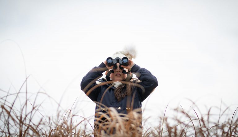 Winter Bird Counts – Your Connection to Wildlife