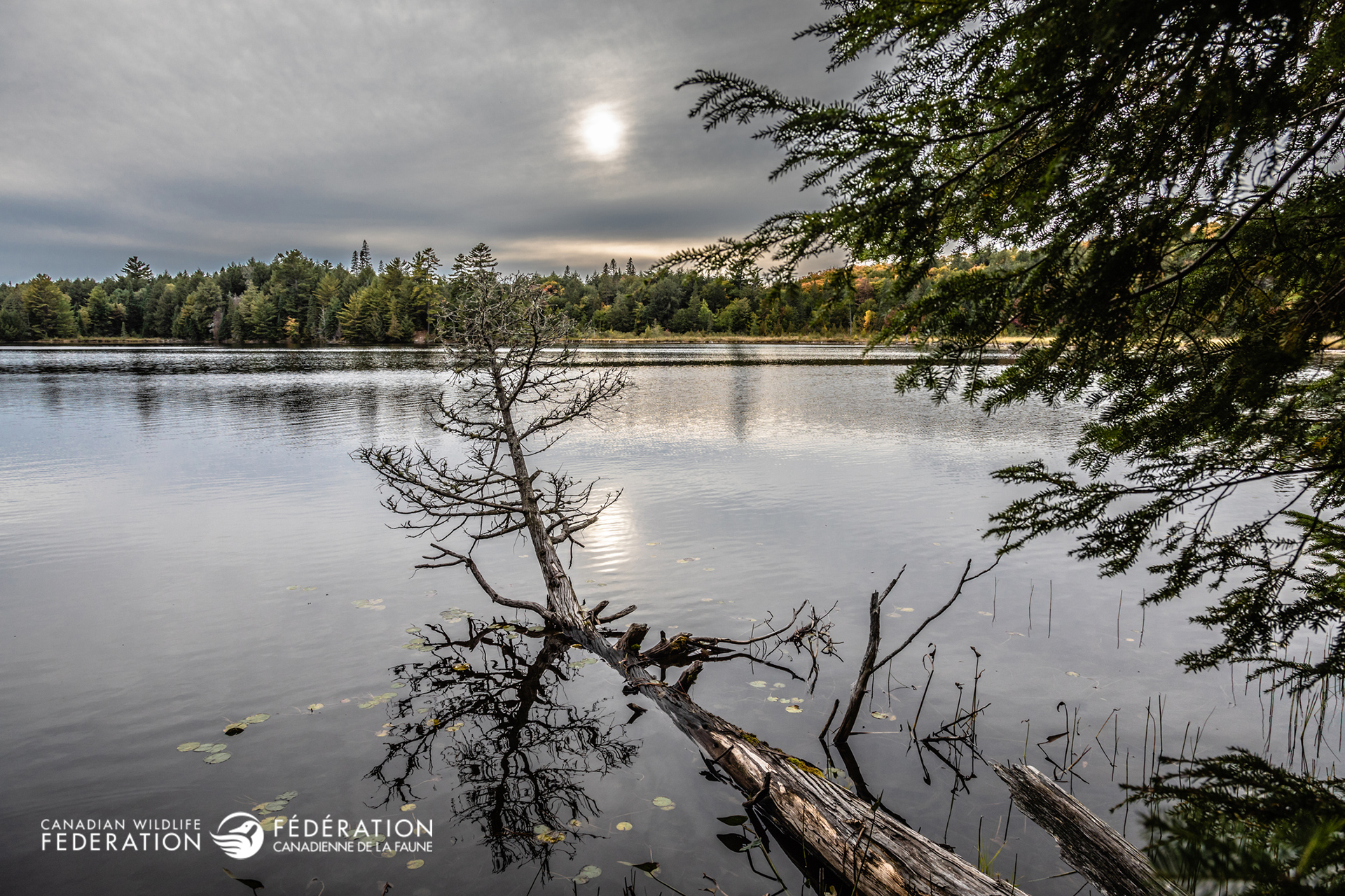 Big or Small Budget — Tips to Upgrade Your Shoreline Property – Your ...