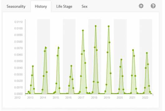 Will This Year See a Drop? Waiting for the Annual Monarch Butterfly ...