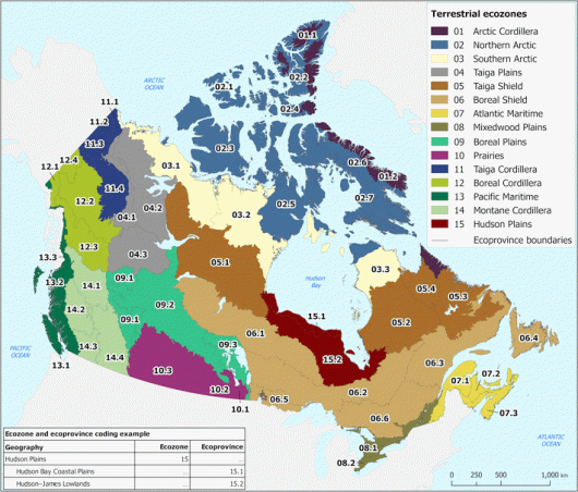 Life on Land – Linking Learning to the Global Sustainable Development ...