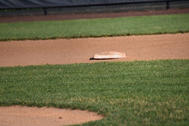 Worst Turtle Nest of the Year Award – Your Connection to Wildlife
