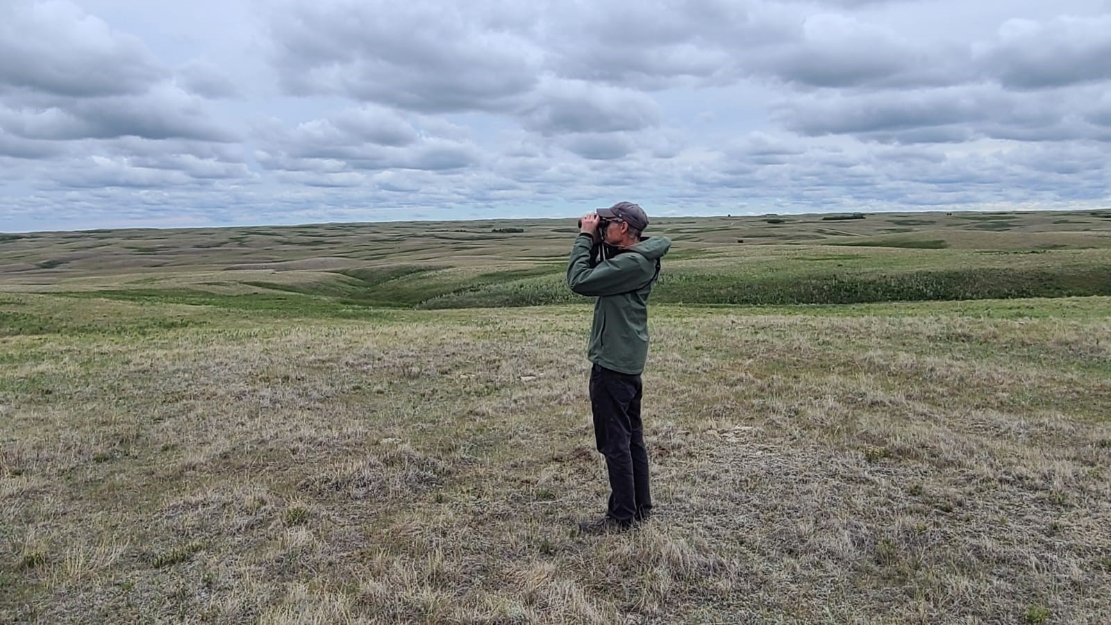 The prairies are a secret superhero ready and waiting to fight climate ...