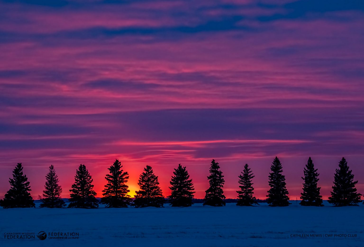 Winners of the 2024 Reflections of Nature Photo Contest – Your ...