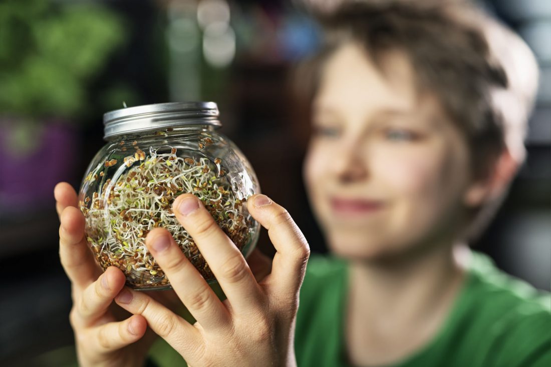 Growing Sprouts Year Round – Your Connection to Wildlife