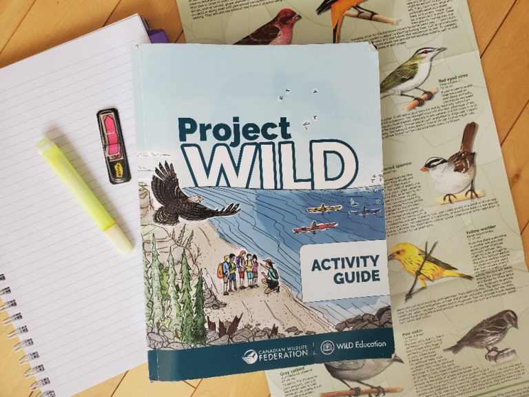 Nature-based Education: Trees, Leaves & Seeds – Your Connection to Wildlife