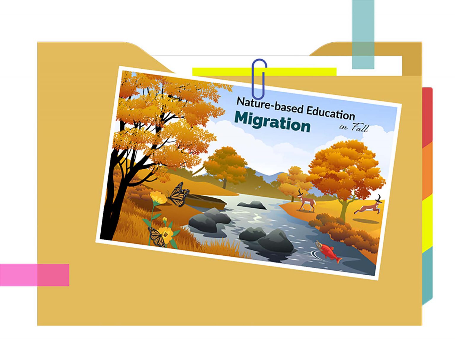 Nature-based Education: Migration – Your Connection to Wildlife