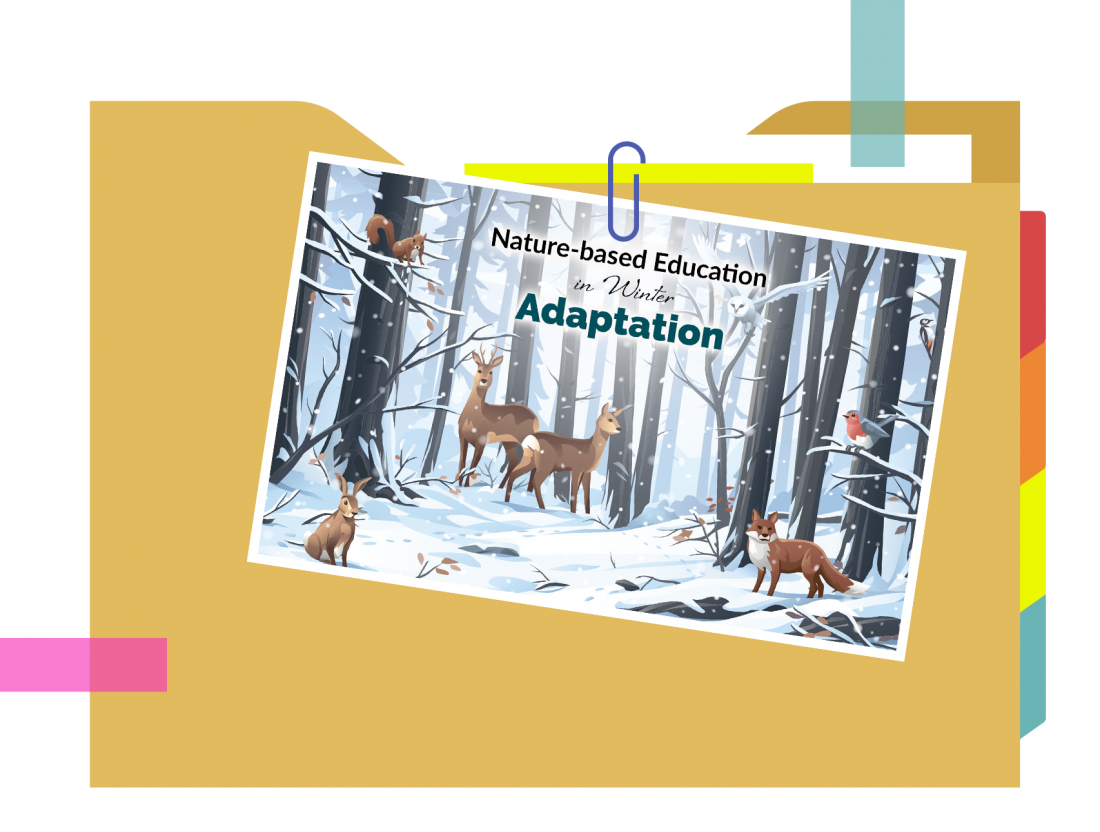 Nature-based Education: Adaptation – Your Connection to Wildlife