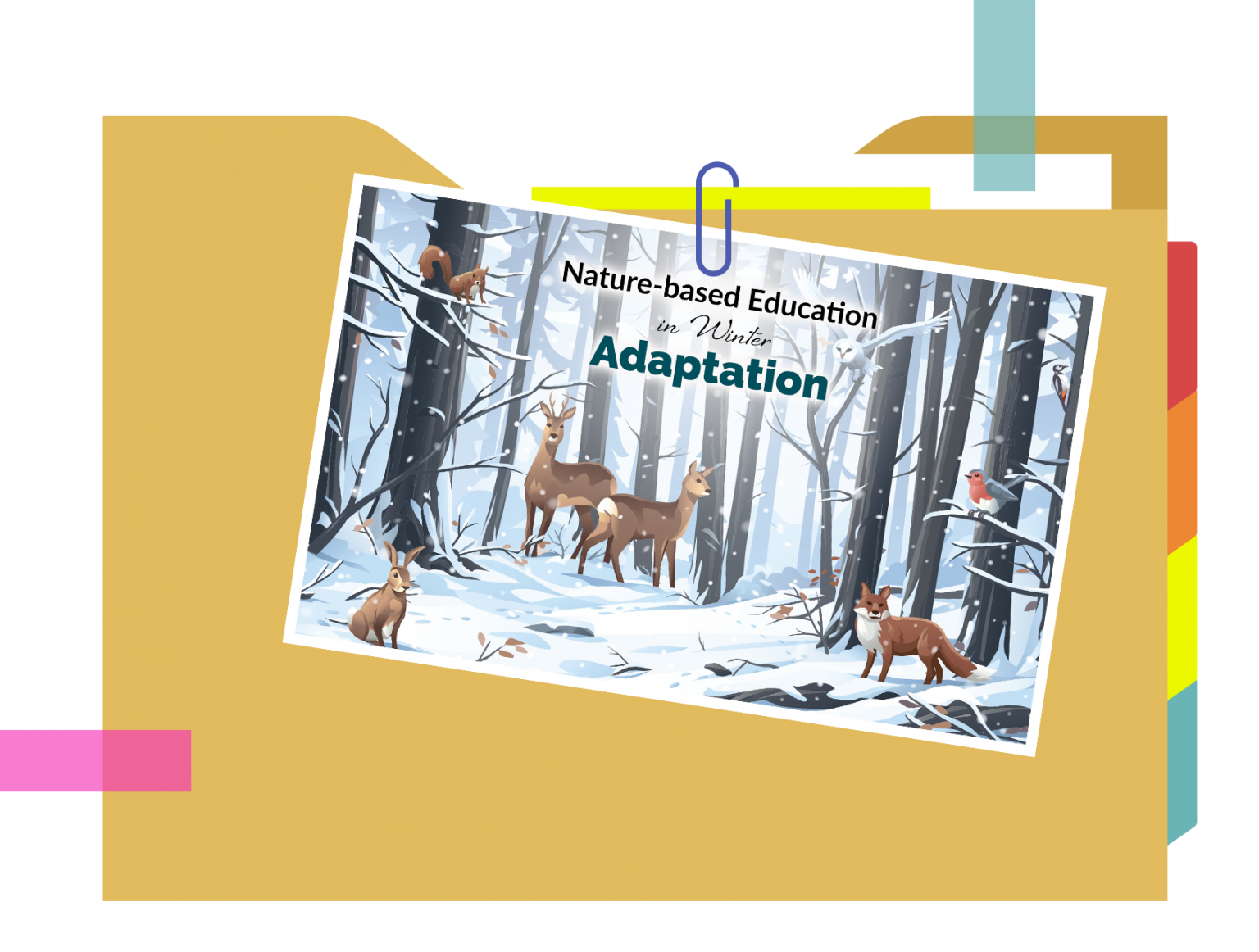 Nature-based Education: Adaptation – Your Connection to Wildlife